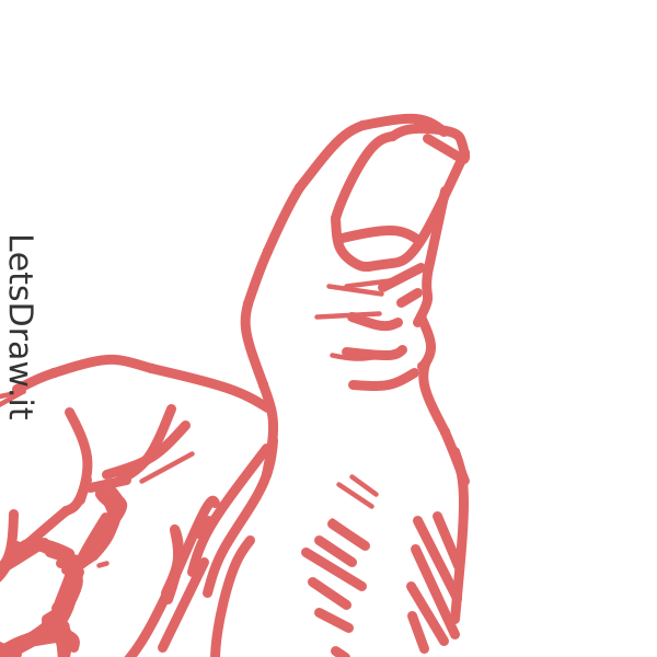 How to draw thumb / 11c88utap.png / LetsDrawIt