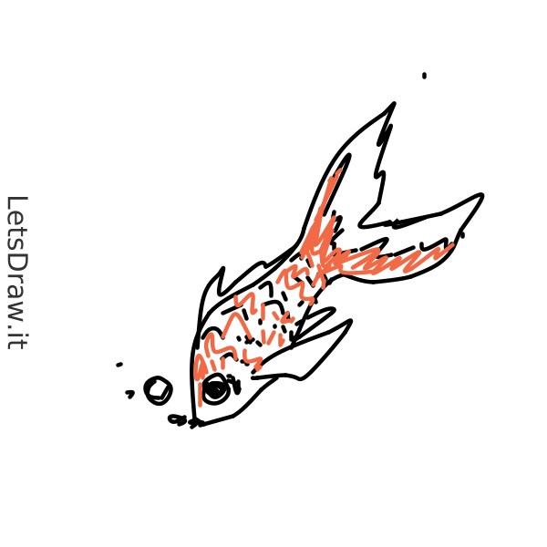 How to draw fish / 11qn6emg.png / LetsDrawIt