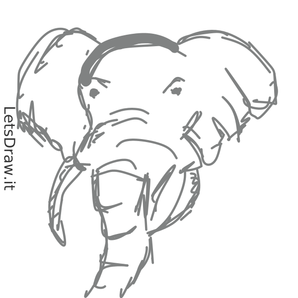 How to draw elephant / 1ah9btguu.png / LetsDrawIt