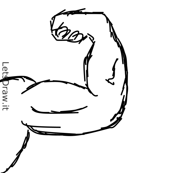 brazo dibujo / LetsDrawIt