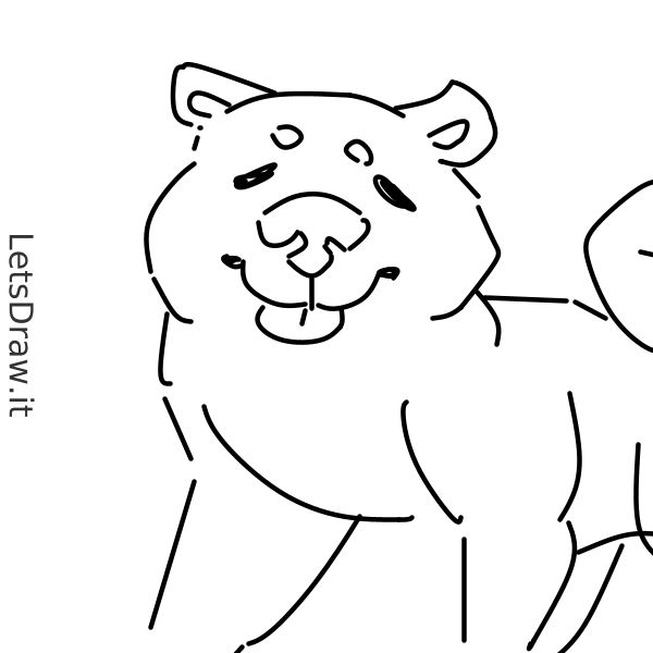 How to draw animal / 1ck1dchnb.png / LetsDrawIt