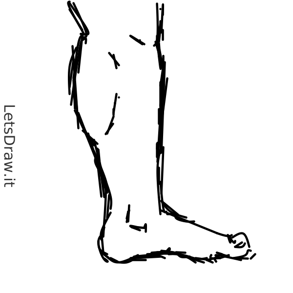 How to draw ankle / 1cnfeggbj.png / LetsDrawIt