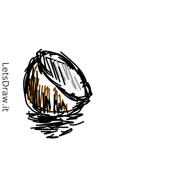How to draw coconut / 1d8bdizhz.png / LetsDrawIt