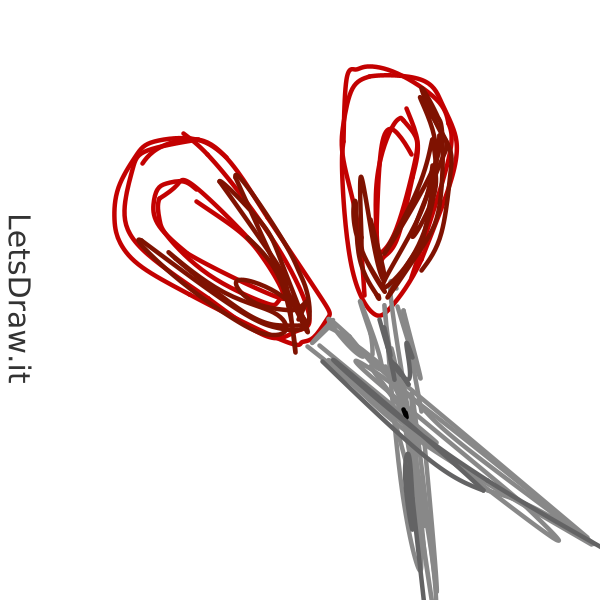 How to draw pair of scissors / 1dg1pckfd.png / LetsDrawIt