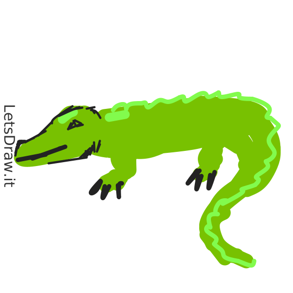How to draw alligator / 1k5kjze1m.png / LetsDrawIt