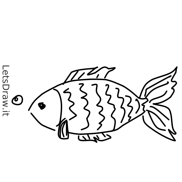 How to draw fish / 1osqsbty.png / LetsDrawIt