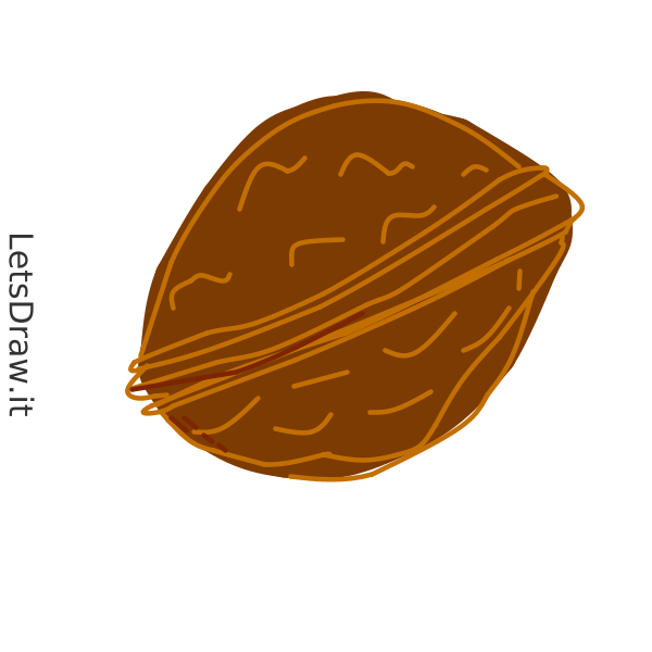 How to draw nut / 1ow5pcuza.png / LetsDrawIt