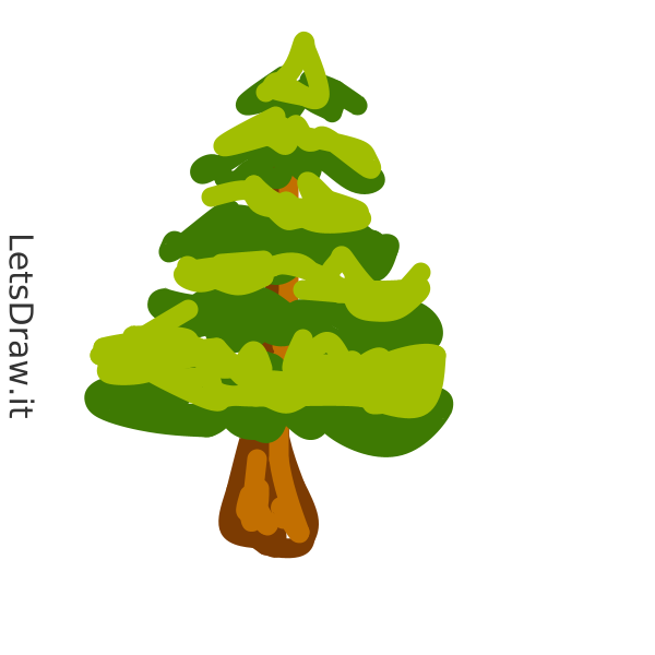 pino dibujo / 1qwwcqagi.png / LetsDrawIt