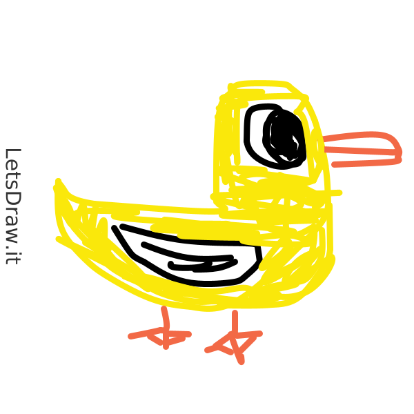 How to draw duck / 1rbgbn8pn.png / LetsDrawIt