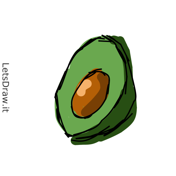 How to draw avocado / 1rgznocb1.png / LetsDrawIt