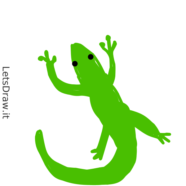 How to draw lizard / 1s1tpg7xs.png / LetsDrawIt