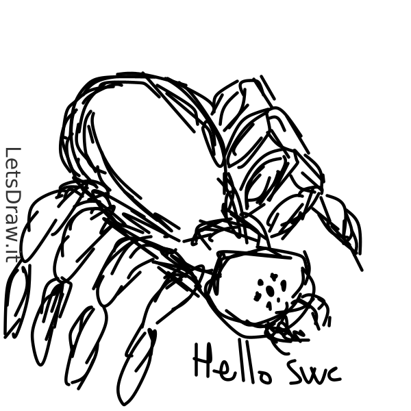 How to draw spider / 1wn4dktew.png / LetsDrawIt