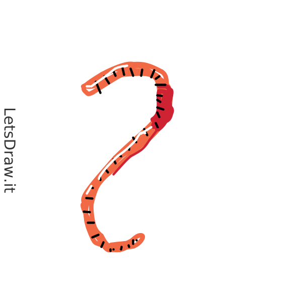 How to draw earthworm / 1wopmba6.png / LetsDrawIt