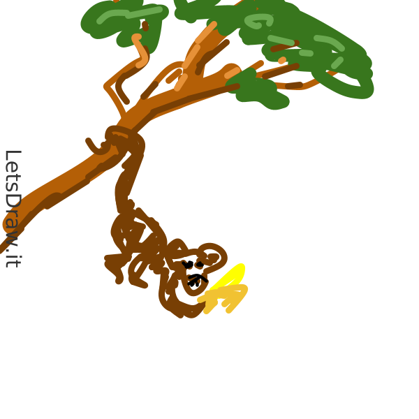 How to draw monkey / 1xmed8pss.png / LetsDrawIt
