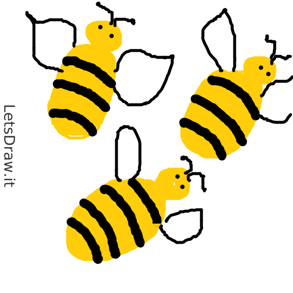 How to draw bees / 1xsdx8g6w.png / LetsDrawIt