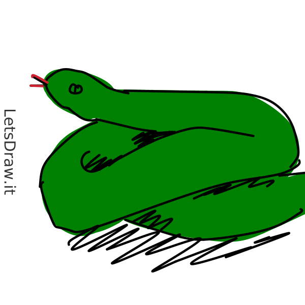 How to draw grass snake / 1yezn5y8z.png / LetsDrawIt