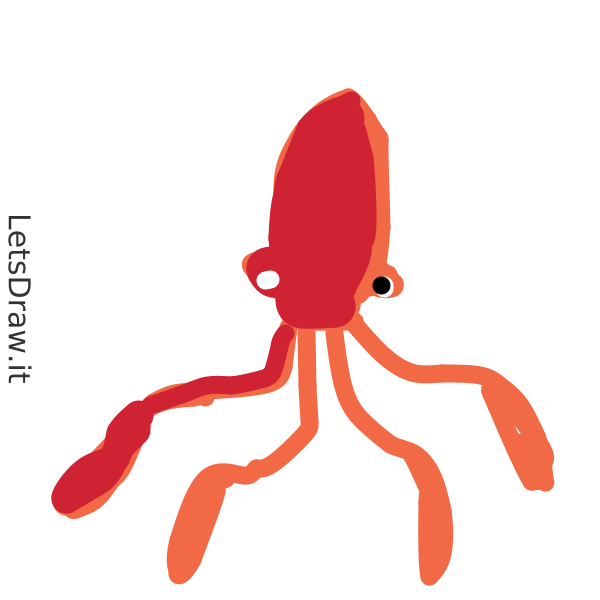 How to draw squid / 33ao5anb.png / LetsDrawIt