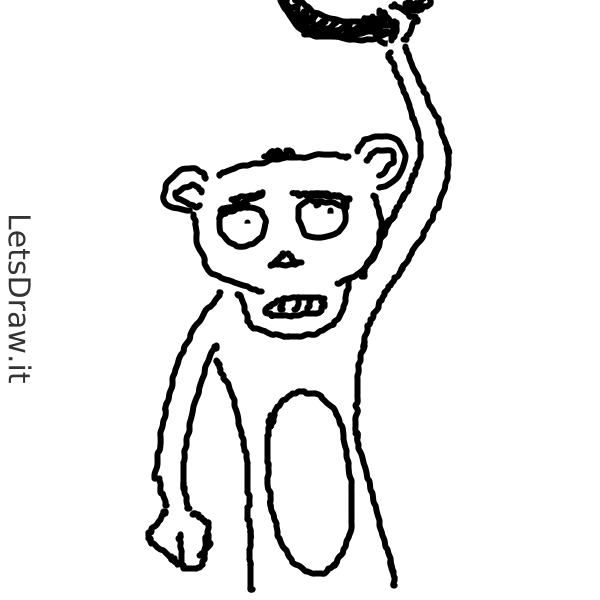 How to draw monkey / 33rfqms1e.png / LetsDrawIt