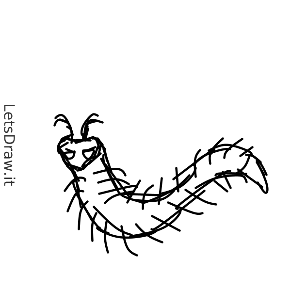 How to draw centipede / 35uj7cum.png / LetsDrawIt