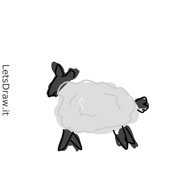 How to draw sheep / 377fmictn.png / LetsDrawIt