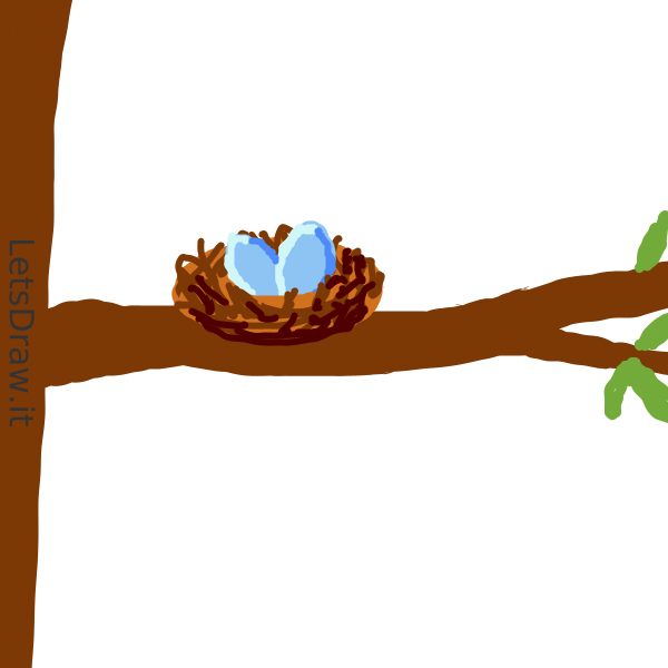 How to draw nest / 38k4ookdc.png / LetsDrawIt