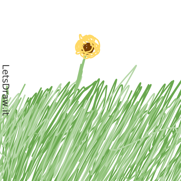 gras tekenen / LetsDrawIt