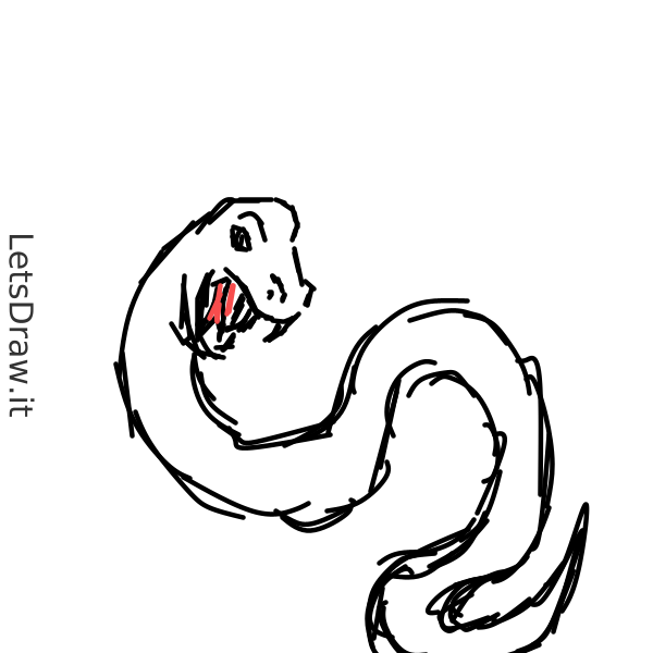 How to draw snake / 3c11pb6q5.png / LetsDrawIt