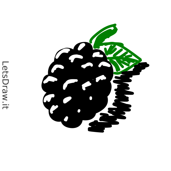 How to draw blackberry / 3cnbb4c9a.png / LetsDrawIt