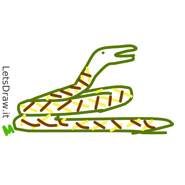 How to draw grass snake / 3cqsk4uzz.png / LetsDrawIt