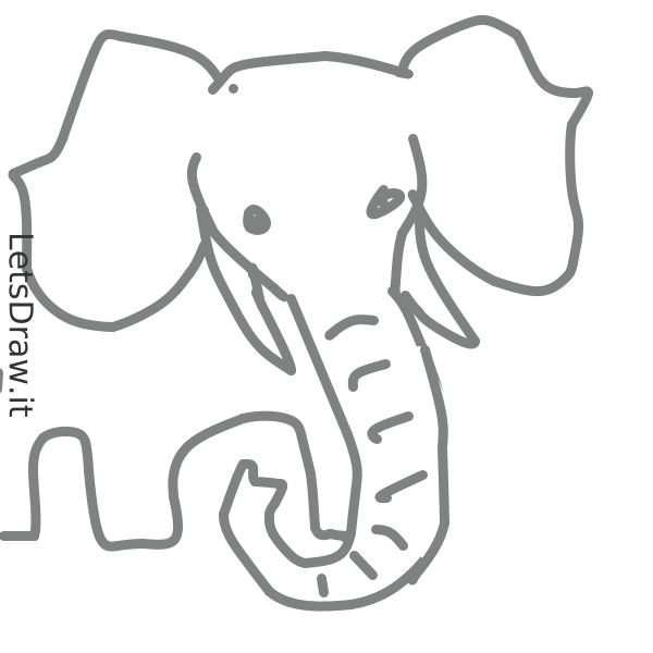 How to draw elephant / 3g1xwe9e.png / LetsDrawIt