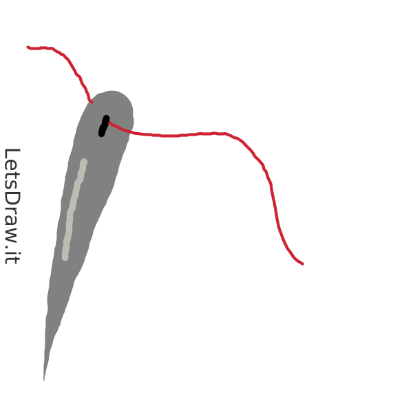 How to draw Thread / 3g9bpza1p.png / LetsDrawIt