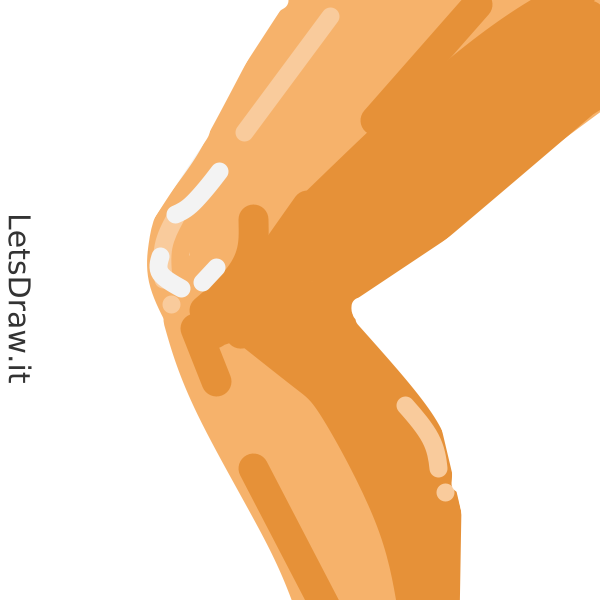 How to draw knee / 3jyxeqsdk.png / LetsDrawIt