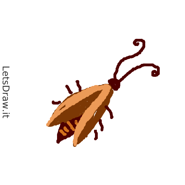 How to draw roach / 3k7n1i919.png / LetsDrawIt