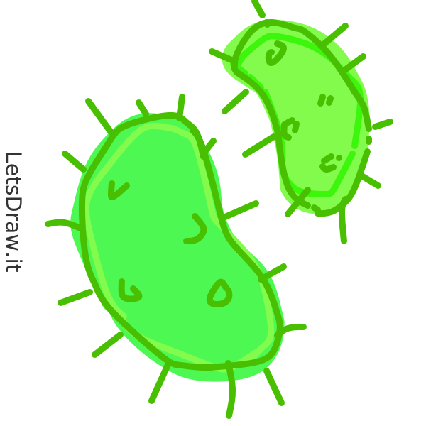 How to draw bacteria / 3mehmw6rh.png / LetsDrawIt