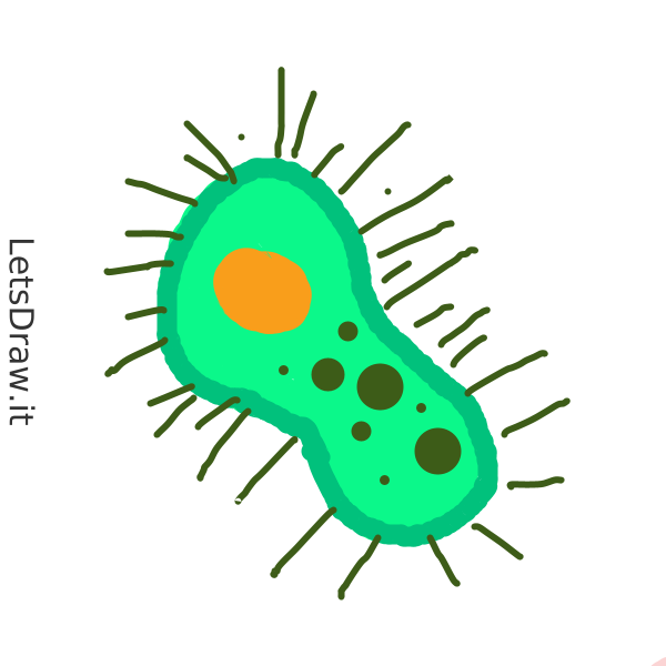 How to draw bacteria / 3nxr1fg6i.png / LetsDrawIt