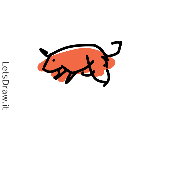 How to draw swine / 3o7fh3g8.png / LetsDrawIt