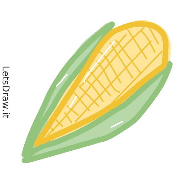 How to draw corn / 3oesfpes9.png / LetsDrawIt