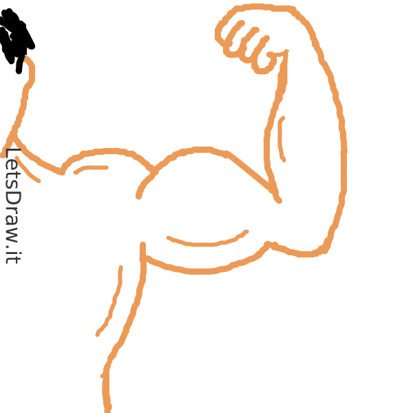 How to draw muscles / 3p8m1bsrn.png / LetsDrawIt