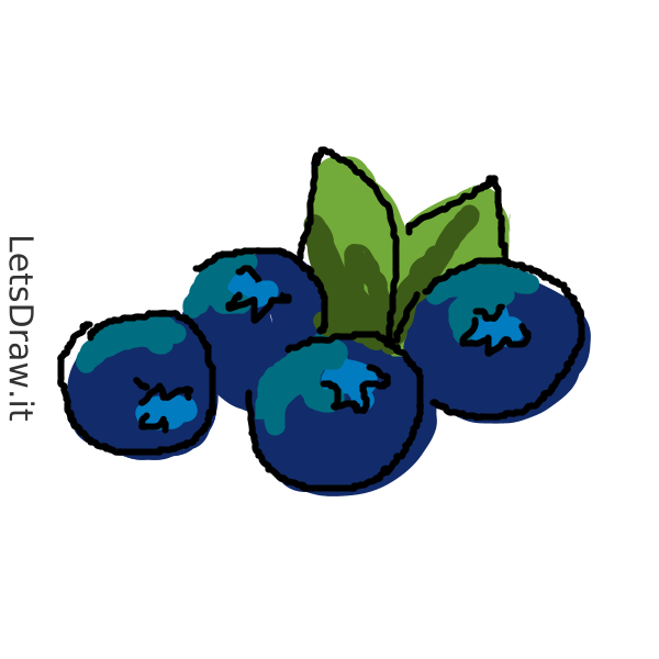 How to draw blueberries / 3pt5tn8f8.png / LetsDrawIt