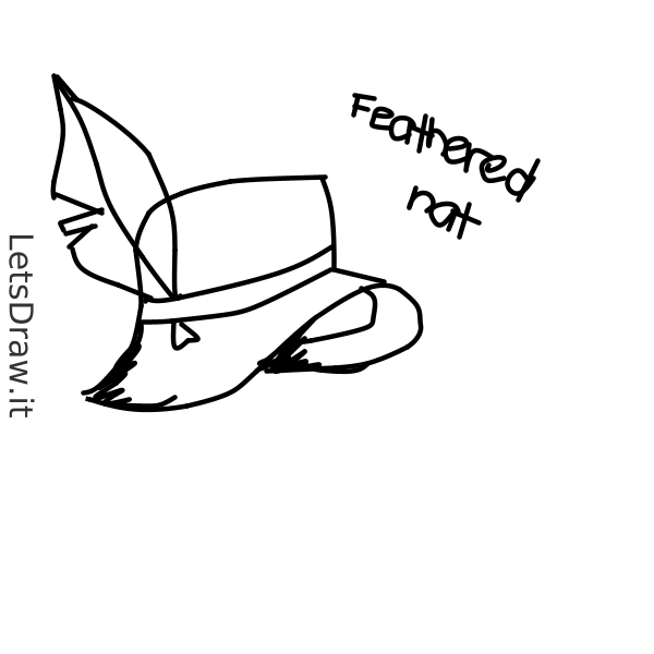 How to draw feathered hat / 3qdocmzh3.png / LetsDrawIt