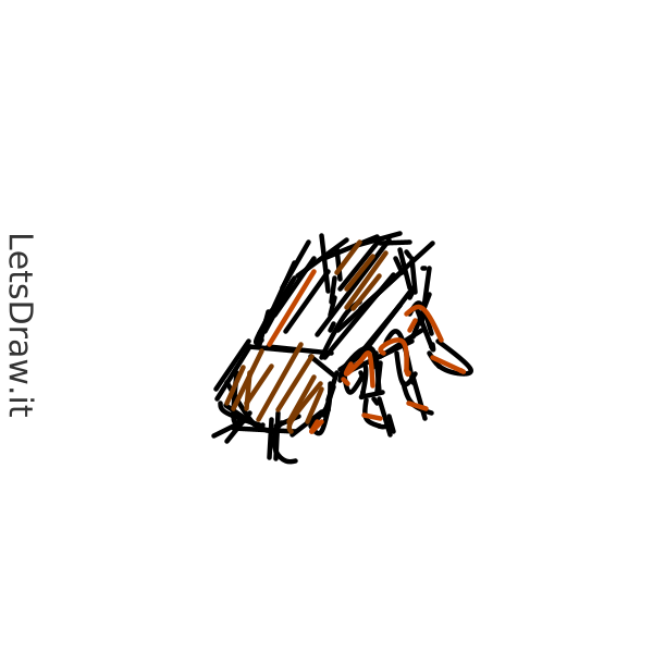 How to draw cockroach / 3rmypmc6x.png / LetsDrawIt