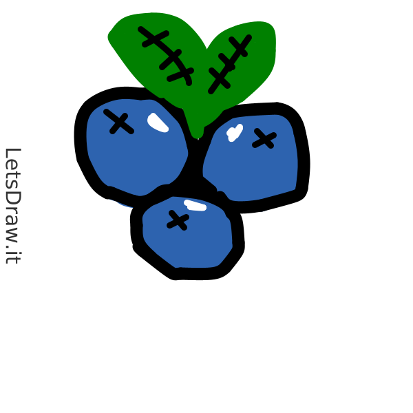 How to draw blueberries / 3s9sdfi7a.png / LetsDrawIt