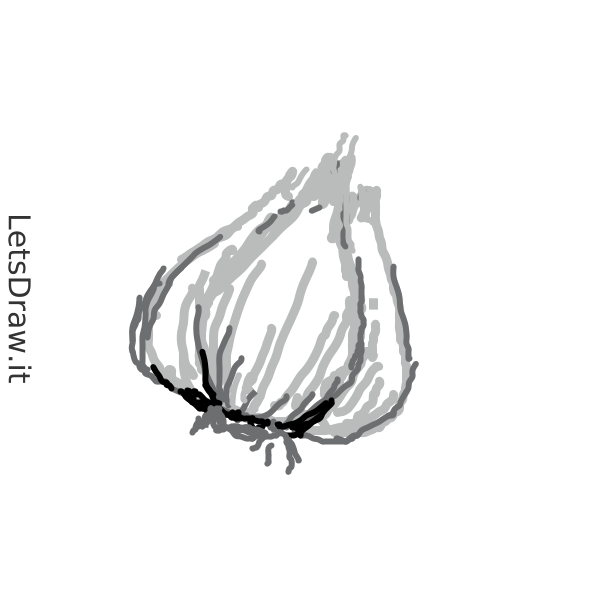 How to draw garlic / 3txwxoisi.png / LetsDrawIt