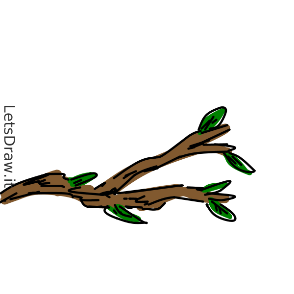 How to draw branch / LetsDrawIt