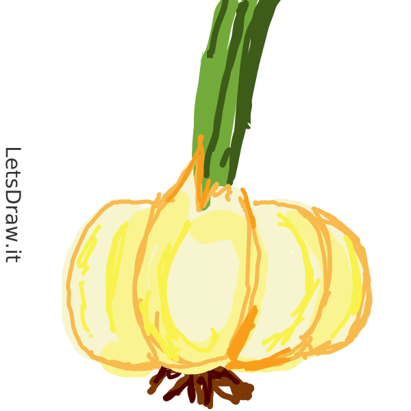 How to draw garlic / 3wtft8j4p.png / LetsDrawIt