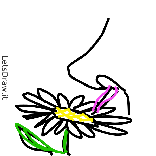 How to draw scent / 47drpttom.png / LetsDrawIt