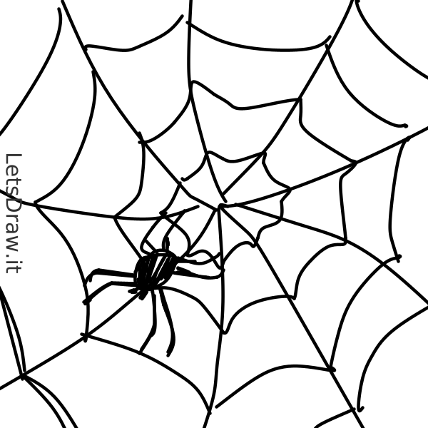 How to draw spiderweb / 483jpepfa.png / LetsDrawIt