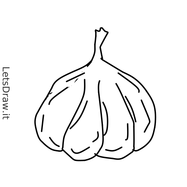 How to draw garlic / 4aip6n7h.png / LetsDrawIt