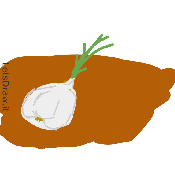 How to draw garlic / 4cho8i69w.png / LetsDrawIt