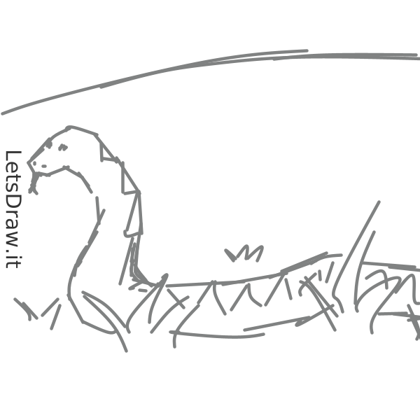 How to draw grass snake / 4dm7rcjyp.png / LetsDrawIt